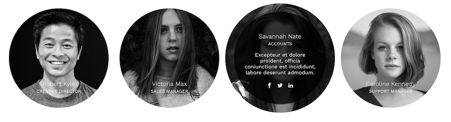 The Team Pro - Team Showcase WordPress Plugin by awsmin | CodeCanyon